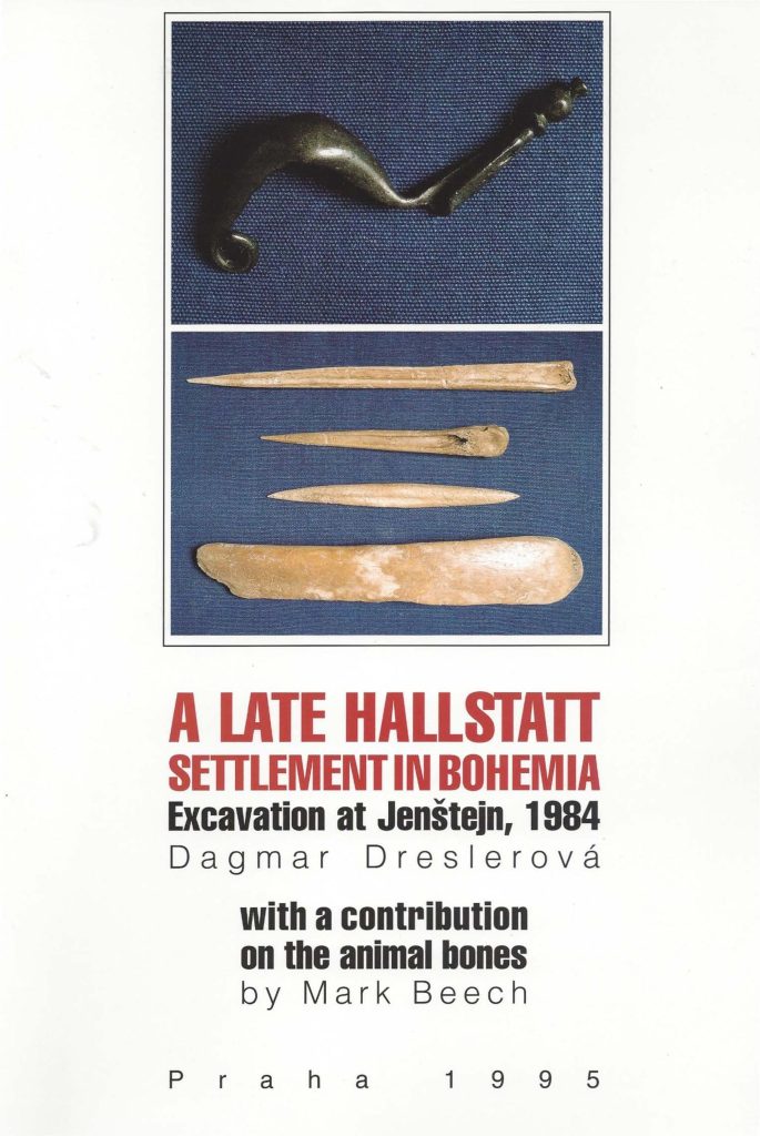 Publications | Dr Mark Jonathan Beech